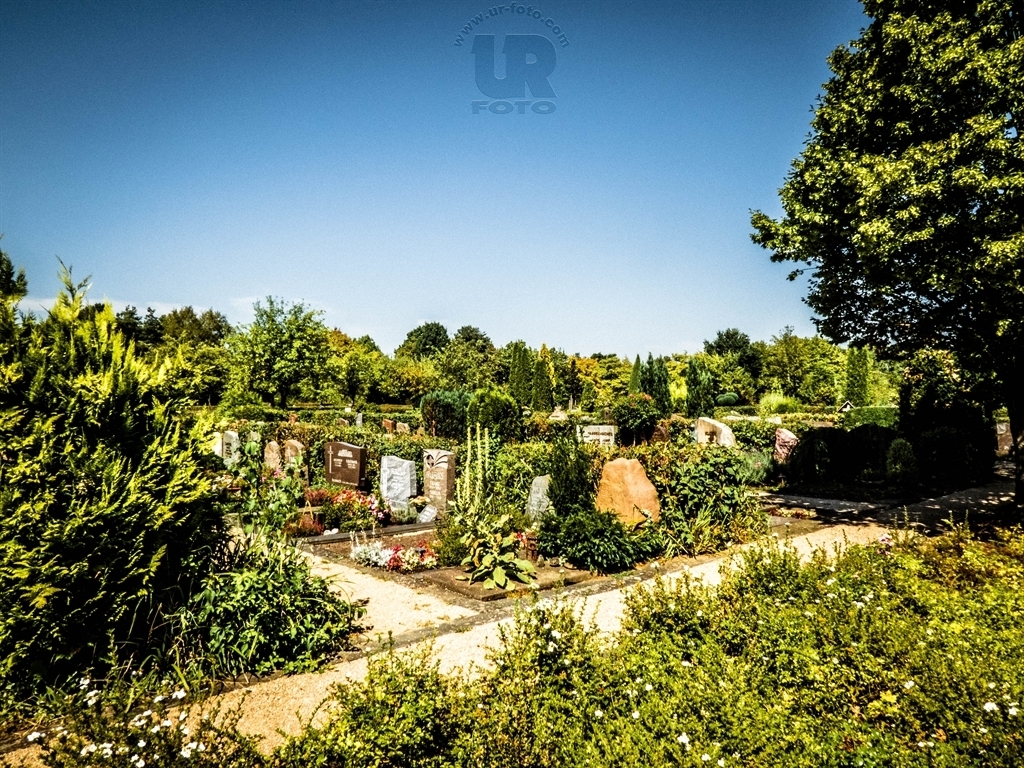 Wachtberg – BeLichtErstatter